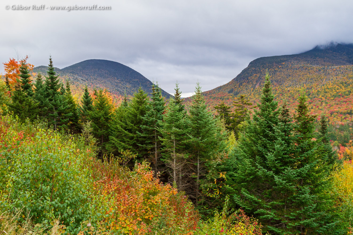 Fall Colors in the White Mountains | Gábor Ruff
